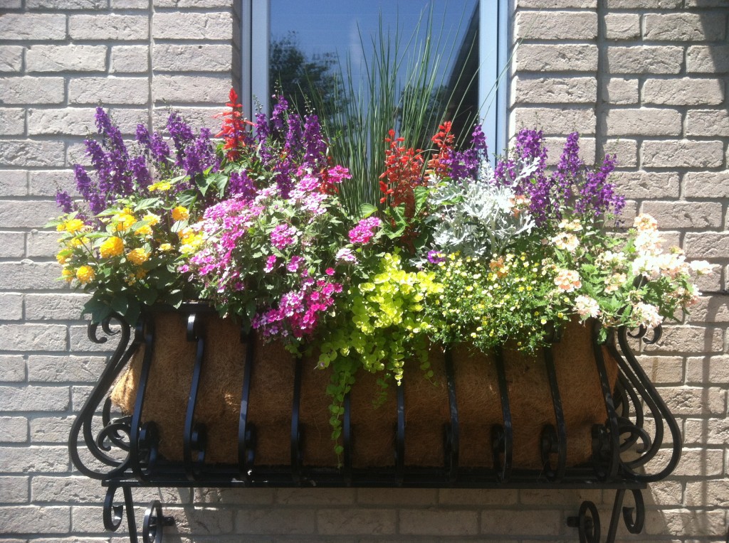 Rounding third base on our growing season